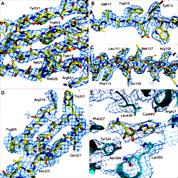Details of the cryo-EM map in blue mesh.