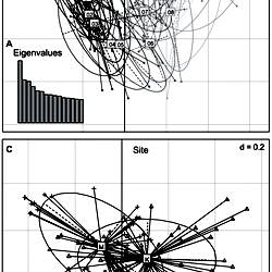 Principal Coordinate Analysis (PCoA) on the acoustic dissimilarity matrix.