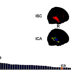 Sorting of the ICs based on correlations with the ISC map.