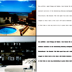 Example stimuli for the A) scene memorization task, B) reading task, C ...