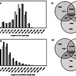 Sequencing reads, assembly and annotation.