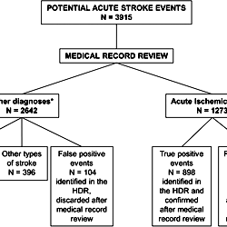 Inclusion flow-chart.