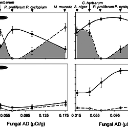 Effects of predators on prey movement and P uptake.