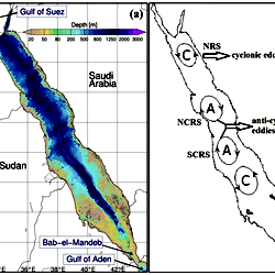 Bathymetry and general circulation of the Red Sea.