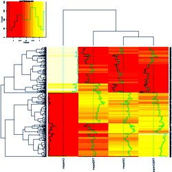 Heat map of transcriptomic analysis.