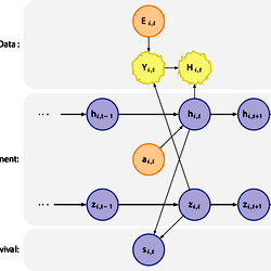Graphical depiction of the statistical model.