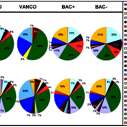 Microbial distribution at family level.