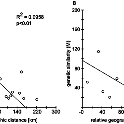 Isolation by distance.