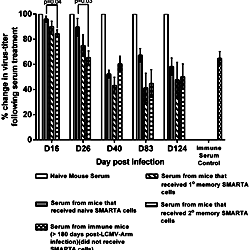 Virus-neutralization using sera obtained from LCMV-infected mice that ...
