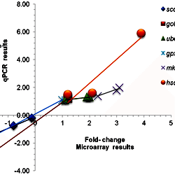 Validation of microarray results by quantitative real time PCR.