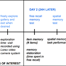 Experimental timeline and measures of interest collected.