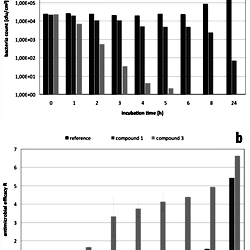 Critical physiological factors influencing the outcome of antimicrobial ...