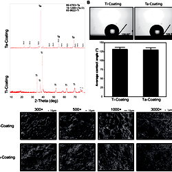 XRD and surface morphology identification of Ta and Ti coatings.