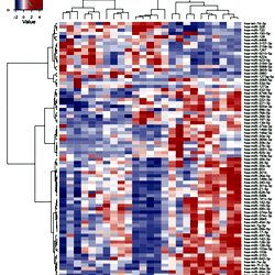 Heat map and hierarchical clustering.