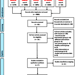 Literature flowchart.