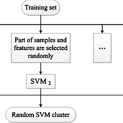 The design of the random SVM cluster.