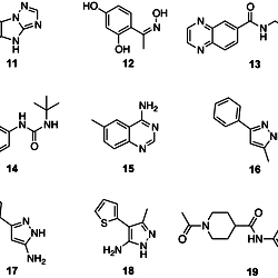 Chemical structures of the nine fragment hits confirmed in crystallography.
