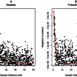 Plots of LD decay.
