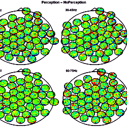 Head-in-head plots for the imaginary part of coherency at each ...
