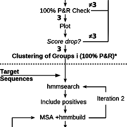 Flowchart of HMMERCTTER pipeline.