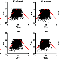 The ENC-plot of 4 cotton species and 4 subgenomes.