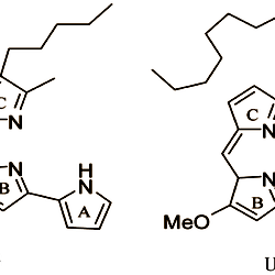 Structures of prodigiosin (PG) and Undecylprodigiosin (UP).
