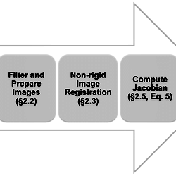 Block diagram illustrating the data processing flow.