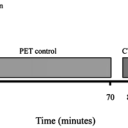 Graphical overview of the scanning protocol.