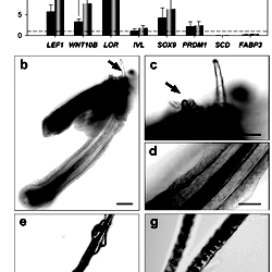 Comparison of ESS models.