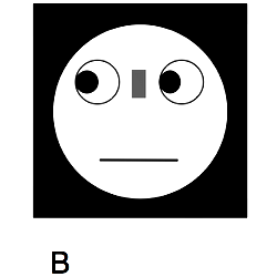 Examples of stimuli presented to induce the Simon effect.