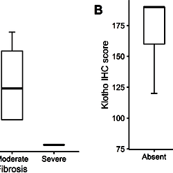 Comparison of the klotho immunohistochemistry (IHC) staining score ...