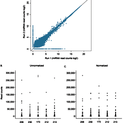 Technical replicates and normalization of miRNA read counts.
