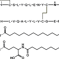 Primary structure of human insulin and its analogues.