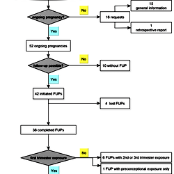 Flow chart on cases of allopurinol exposure and pregnancy (FUP = Follow ...