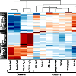 Clustering of the reduced transcriptome identifies similar expression ...