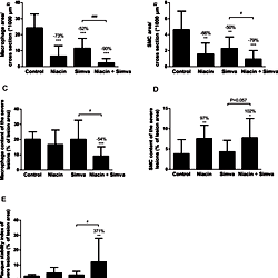 Effect of niacin, simvastatin and their combination on lesion composition.