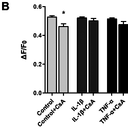 Involvement of tMPT in superoxide flashes excited by proinflammatory ...