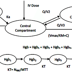 Schematic of two-compartment, precursor-dependent, lifespan indirect ...