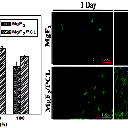 Development and properties of duplex MgF2/PCL coatings on biodegradable ...