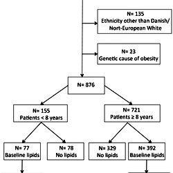 Flow-chart showing the patients in the study.