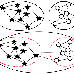 Example of mating networks with species boundaries.