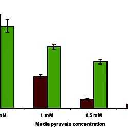 Media pyruvate levels are dependent on gluconeogenic activity of ...