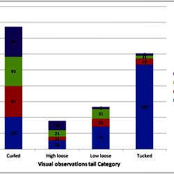 Bar graphs of 3D data validation by a human observer.