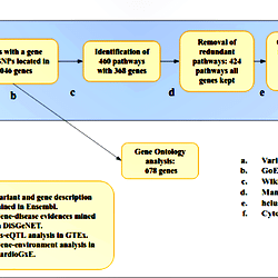 Workflow of GWAS data analysis.