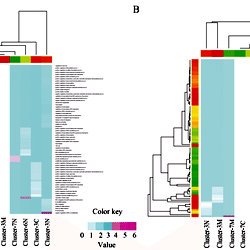 Heatmap of the over-represented biological processes and enrichment ...