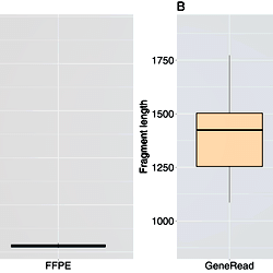 DNA fragment length values for FF and FFPE samples.