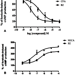 Dose response curves for a cAMP assay of B2.