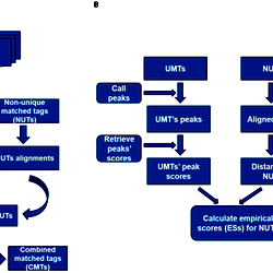 An overview of the LONUT algorithm.