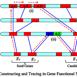 Schematic view of the TRACE method.