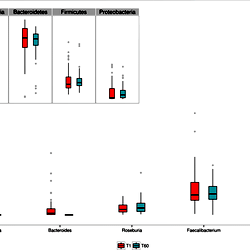 Box plots representing relative abundances of five most abundant ...